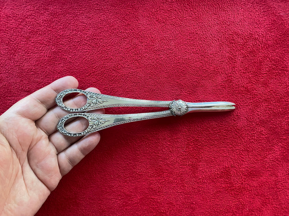 Antique, Victorian Cased Silver Plated Grape Scissors – Iapello Arts & Antiques