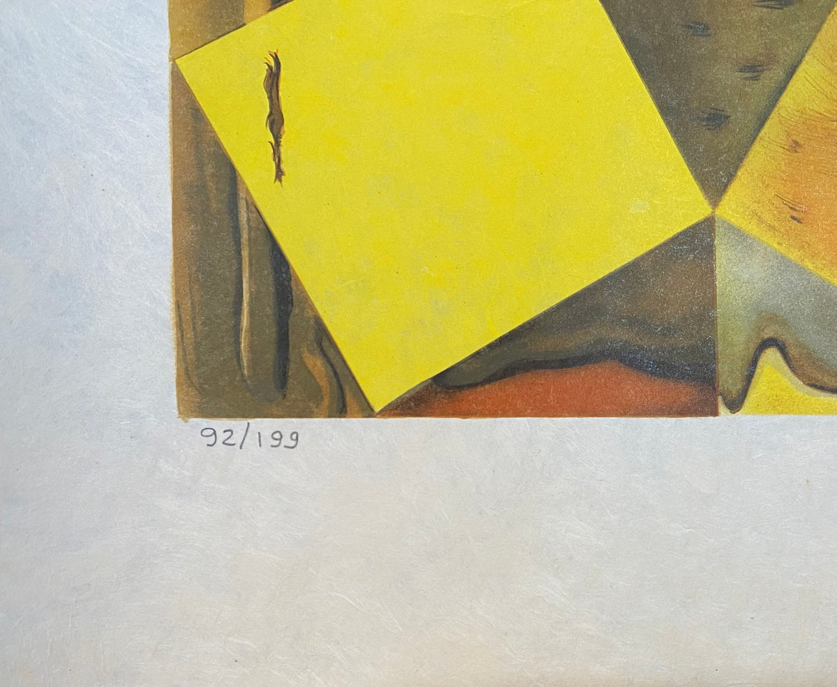 Salvador Dali Limited Edition Lithograph Lenin Tiger on Japon paper ...