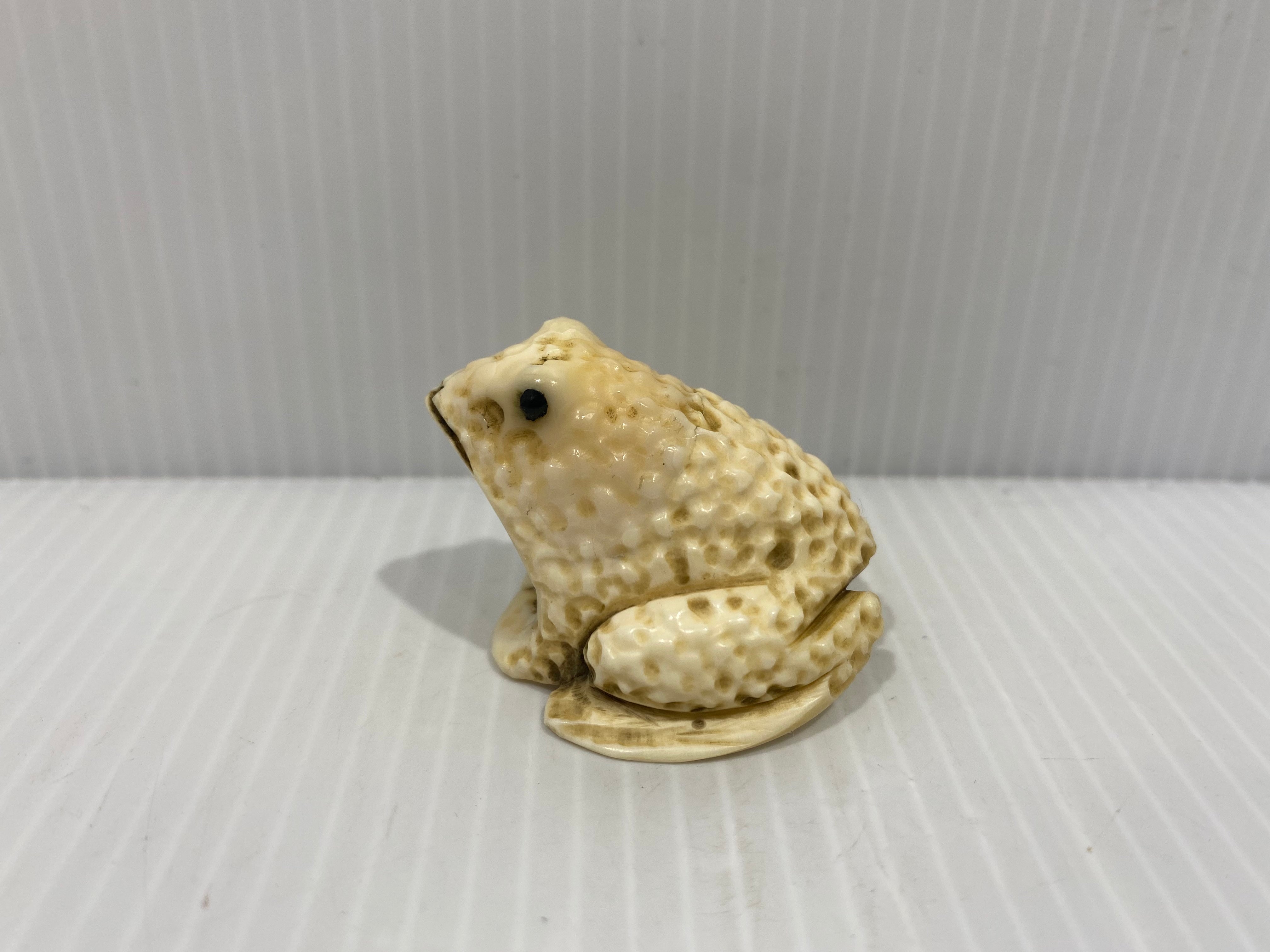 carved ivory netsuke, Frog. – Iapello Arts & Antiques
